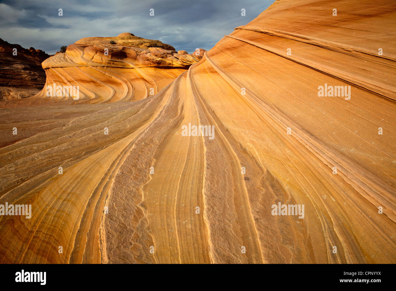 Swirling rock formation in North Coyote Buttes, Arizona Stock Photo - Alamy