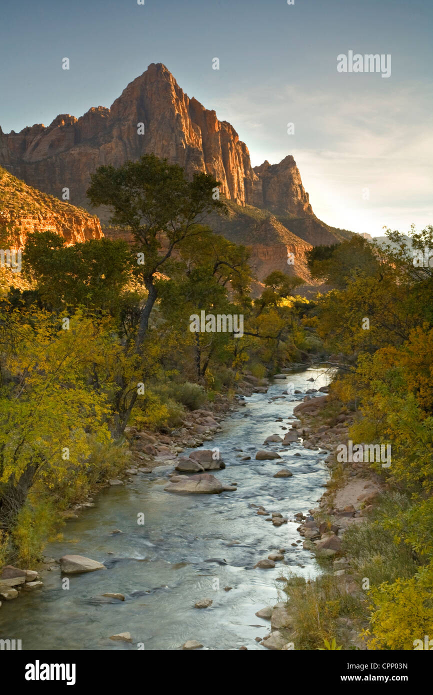 The Watchman and the Virgin River in autumn at Zion National Park, Utah ...