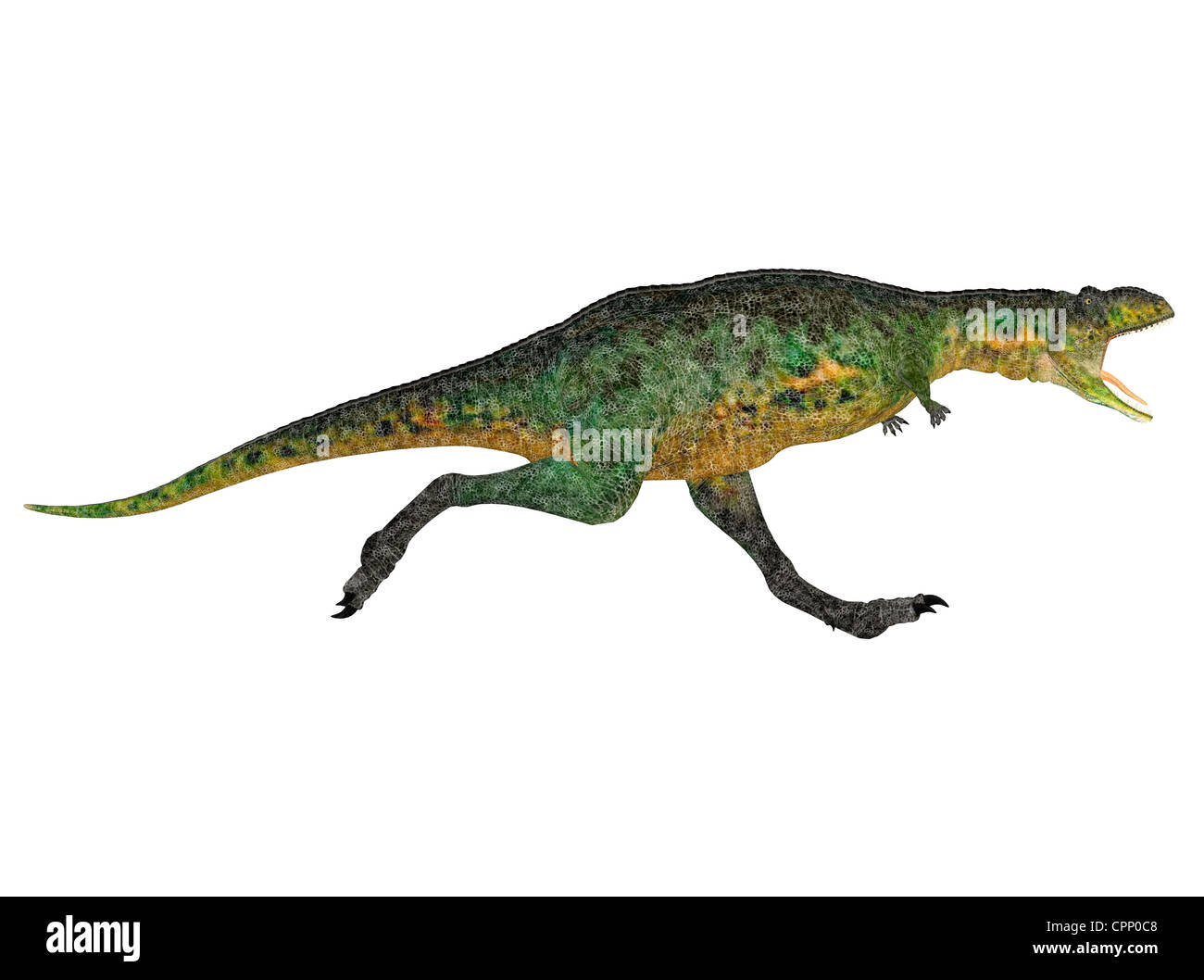 Aucasaurus hi-res stock photography and images - Alamy