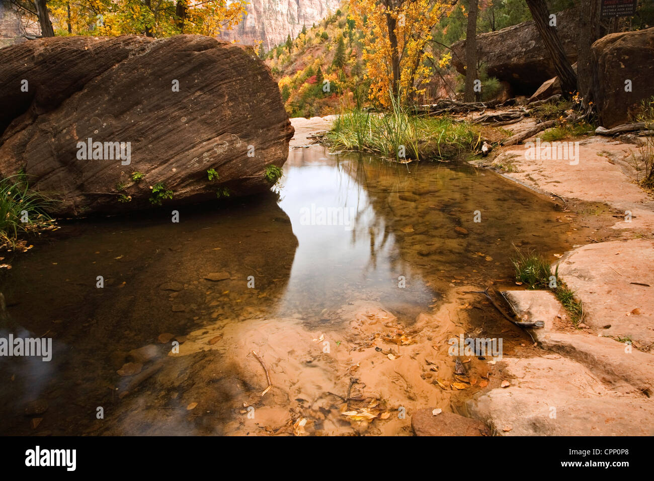 The Middle Emerald Pool in autumn at Zion National Park, Utah Stock Photo - Alamy