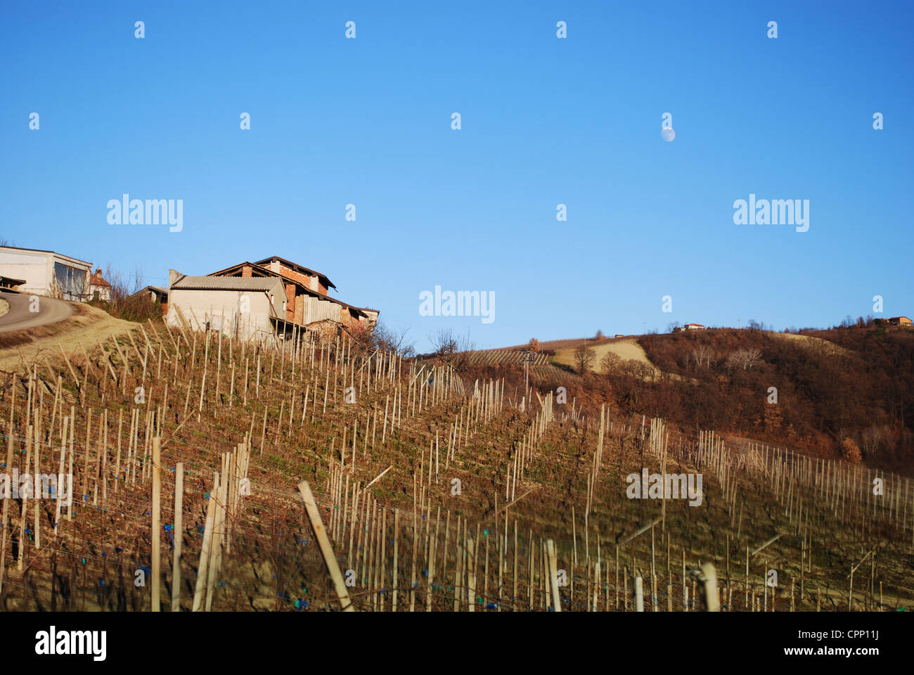 Landscape with farmhouse and vineyard in the Oltrepo Pavese in winter ...