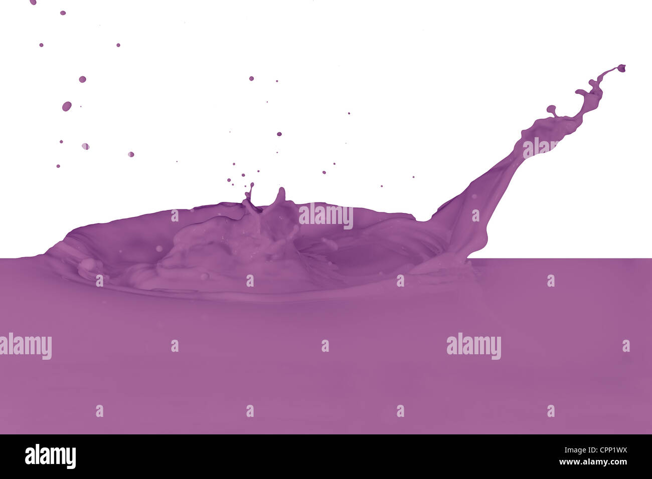 violet paint splashing isolated on white Stock Photo - Alamy