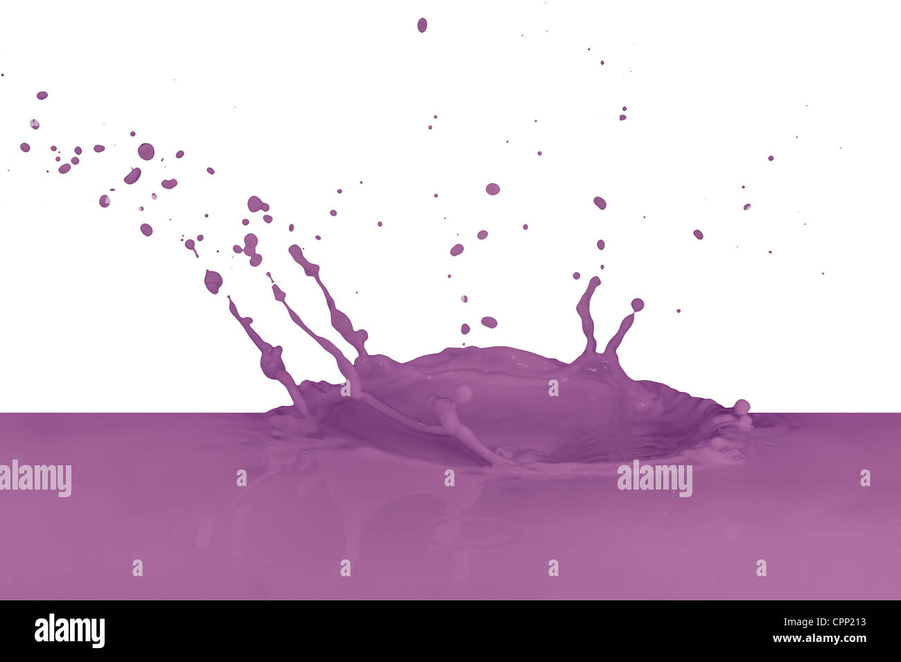 violet paint splashing isolated on white Stock Photo - Alamy