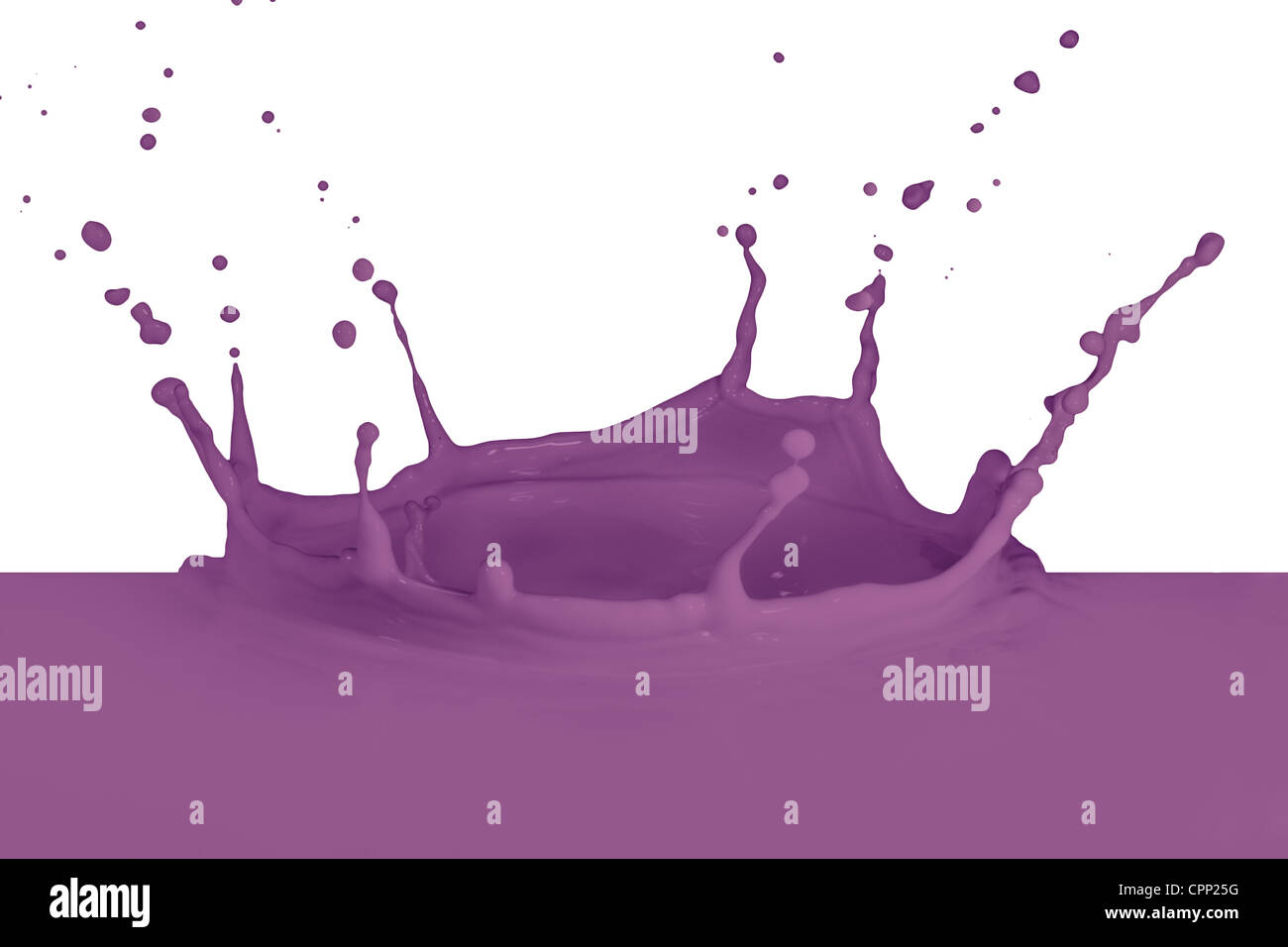 violet paint splashing isolated on white Stock Photo - Alamy