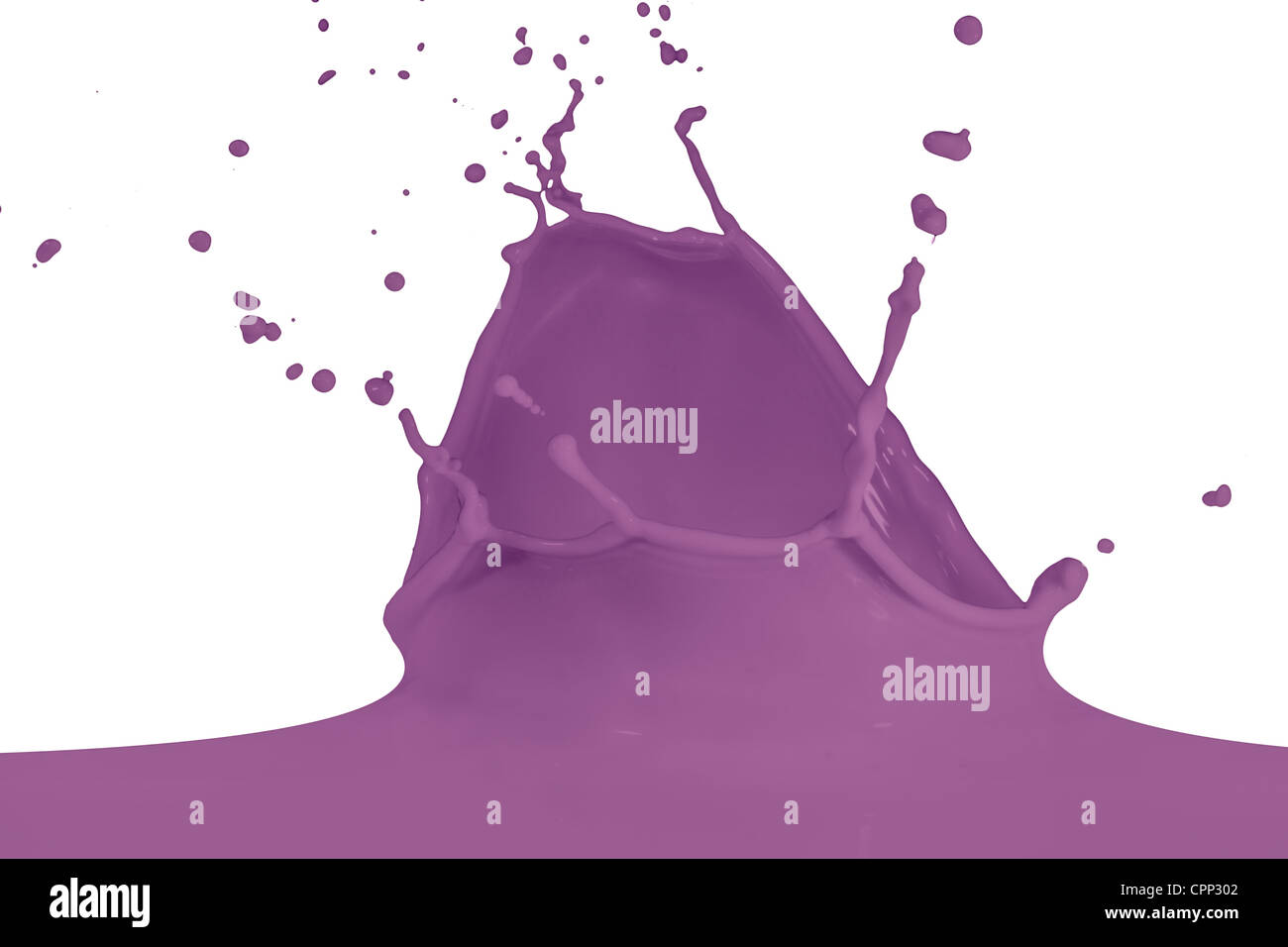 violet paint splashing isolated on white Stock Photo - Alamy