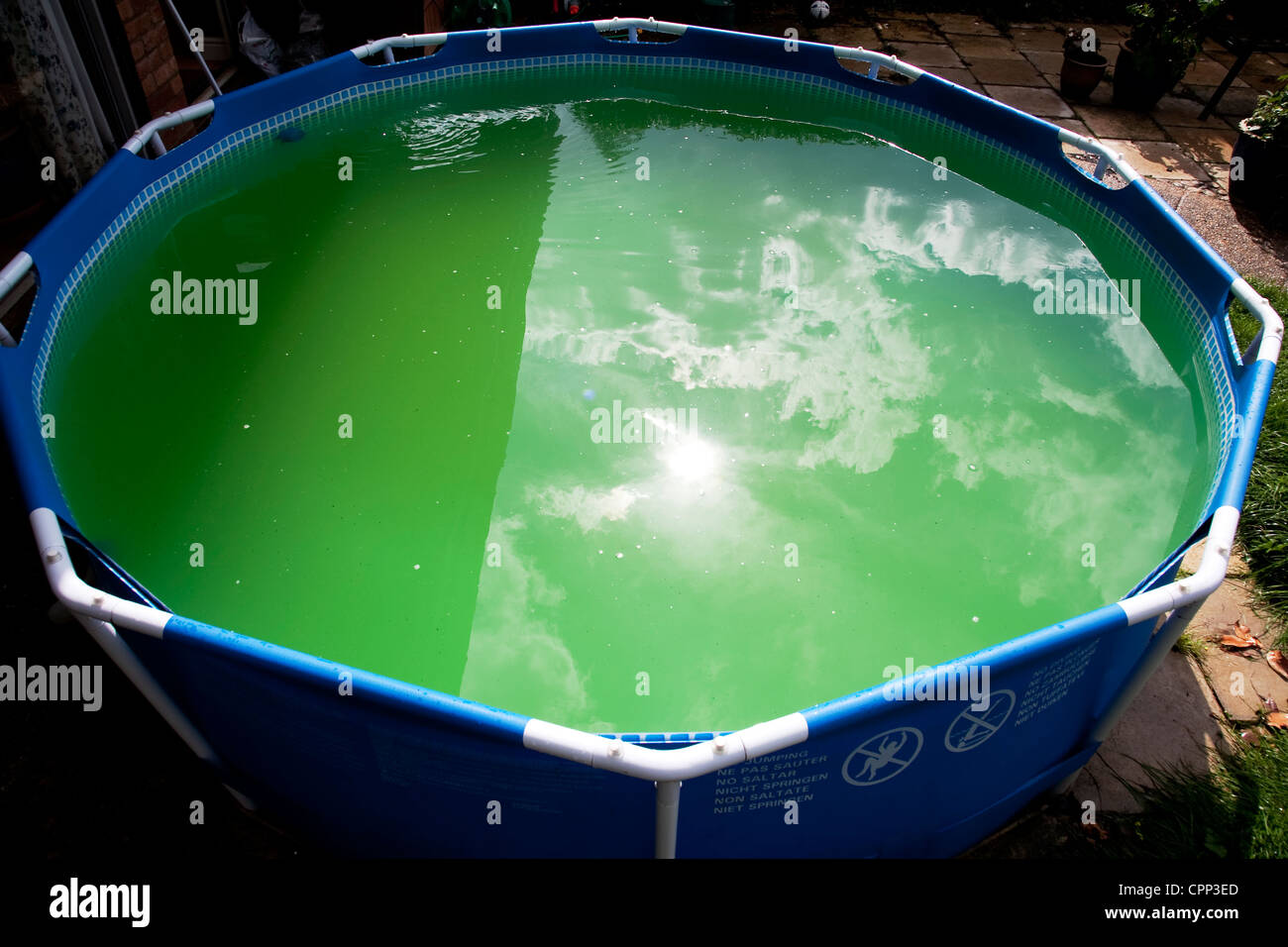 Stagnant Water With Algae High Resolution Stock Photography and Images ...
