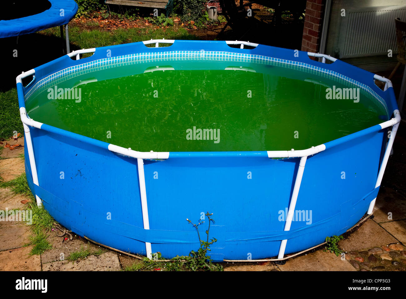Stagnant swimming pool Stock Photo - Alamy
