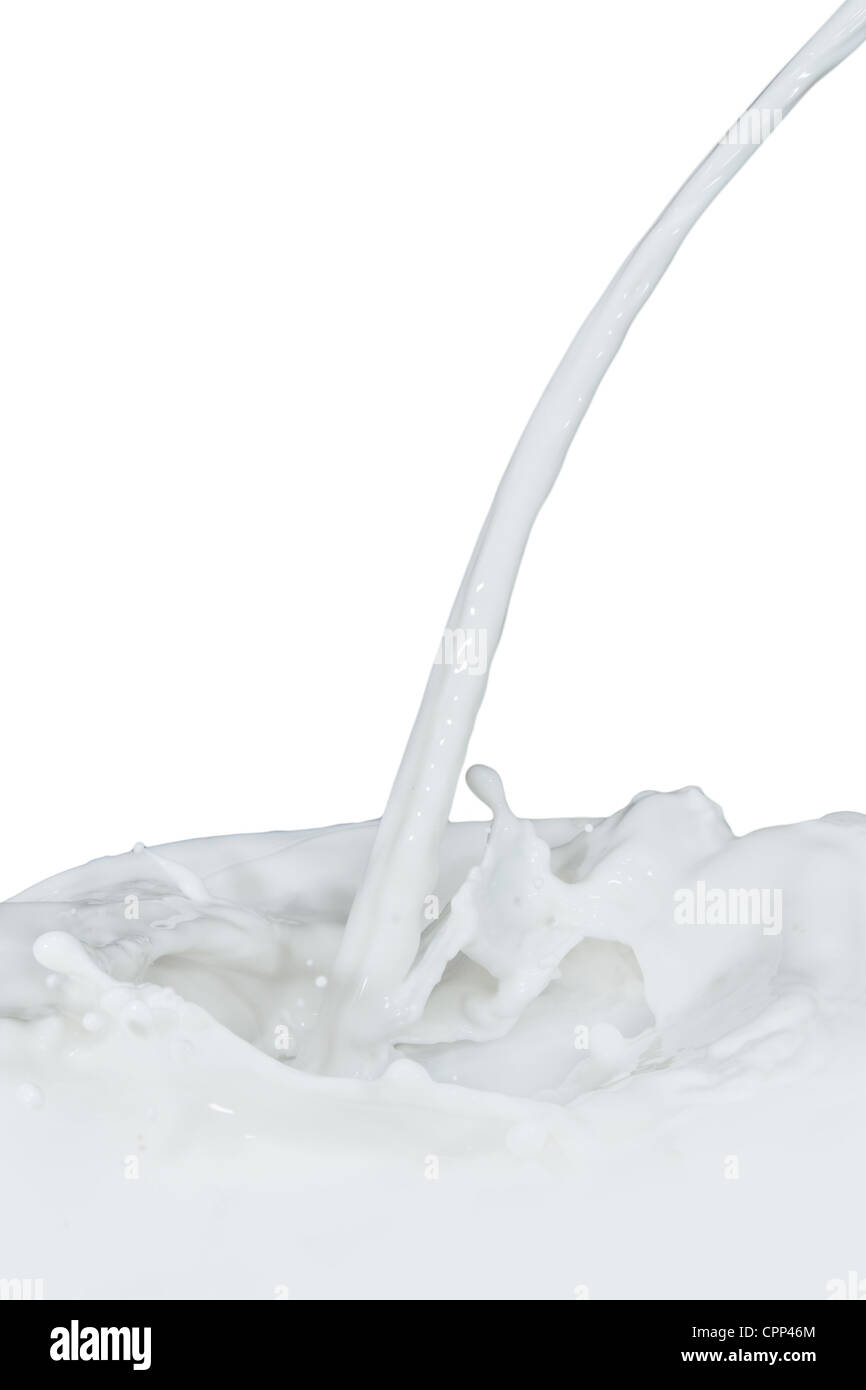 splashing milk isolated on white background Stock Photo - Alamy