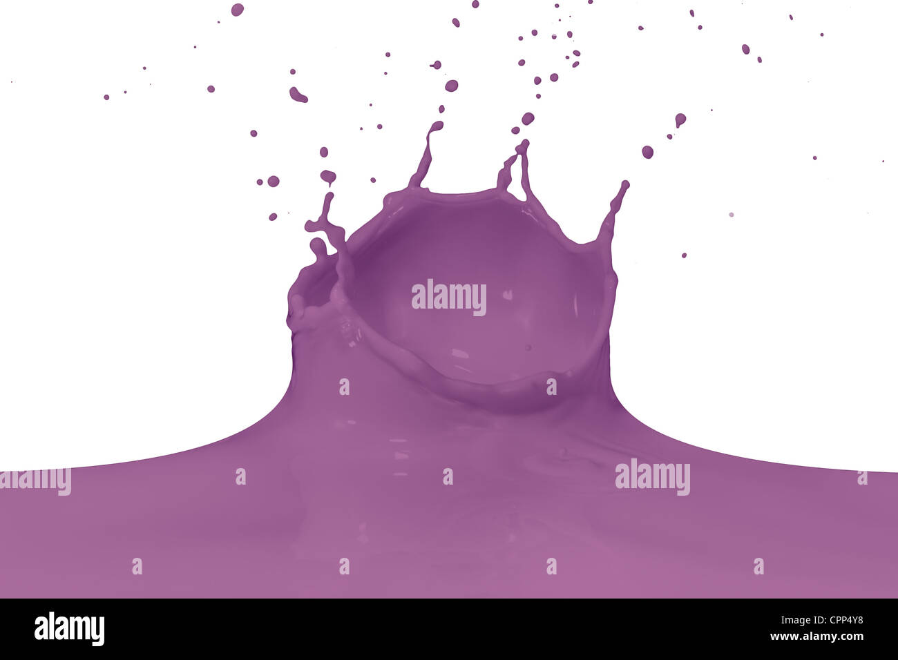 violet paint splashing isolated on white Stock Photo - Alamy
