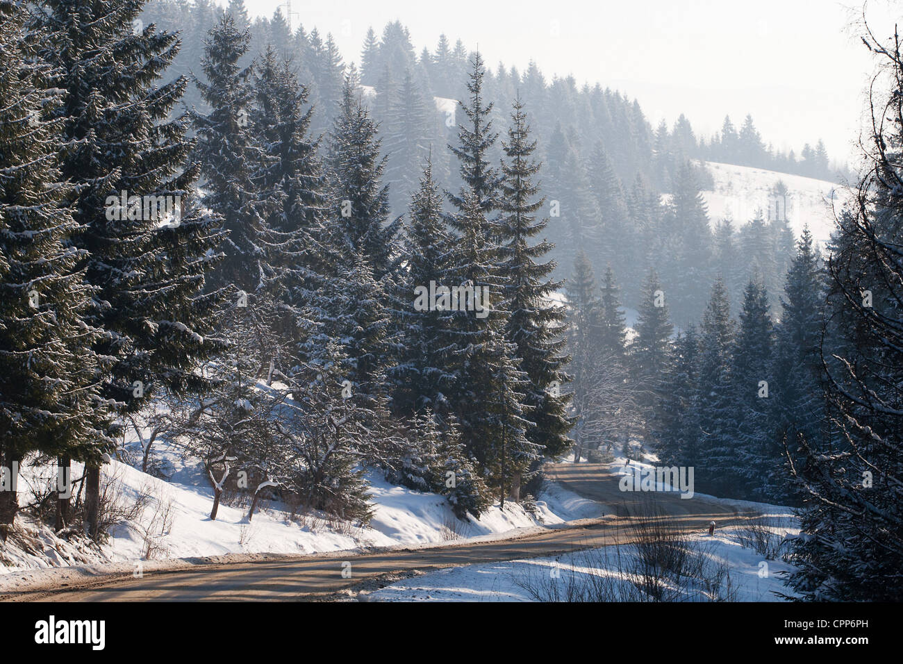 Heavy snow on the road Stock Photo - Alamy