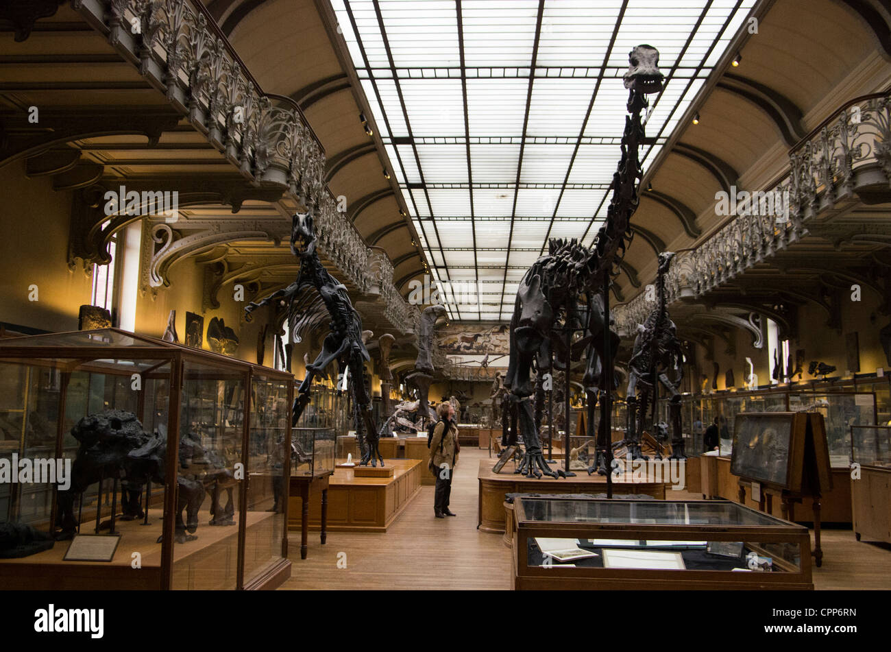 Dinosaurs Of France High Resolution Stock Photography and Images - Alamy