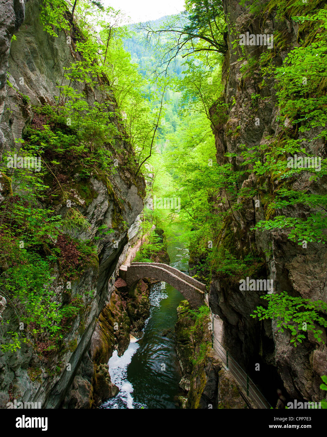 Small bridge over stream hi-res stock photography and images - Alamy