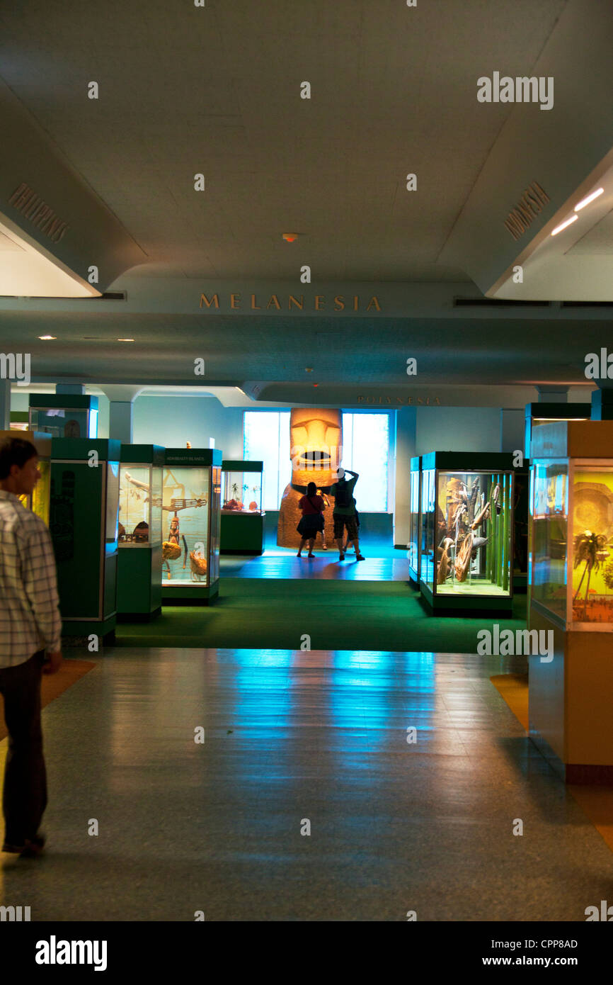 dum dum natural history museum rock from Easter Island new york city ...