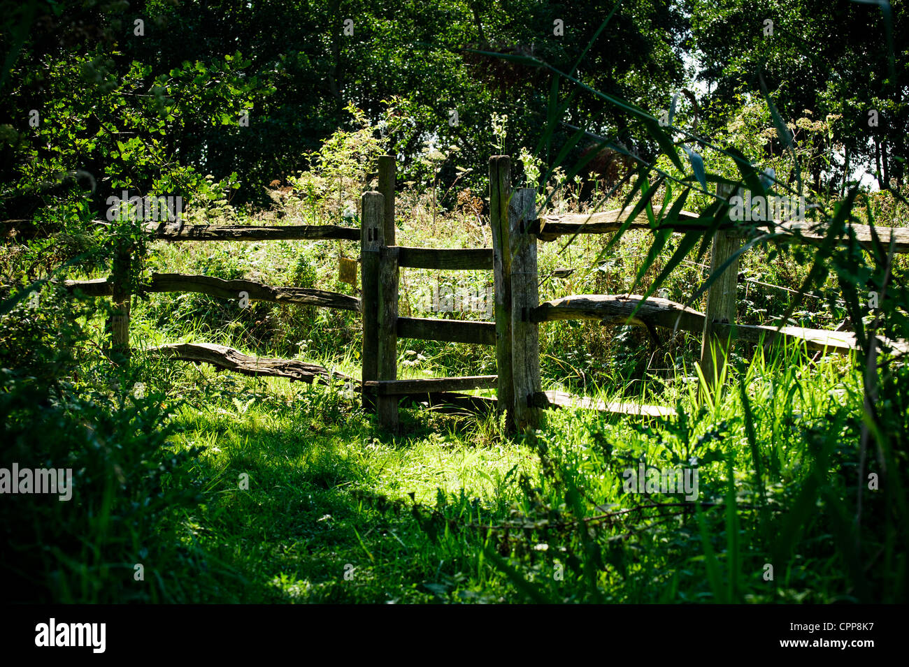 Ecological fence hi-res stock photography and images - Alamy