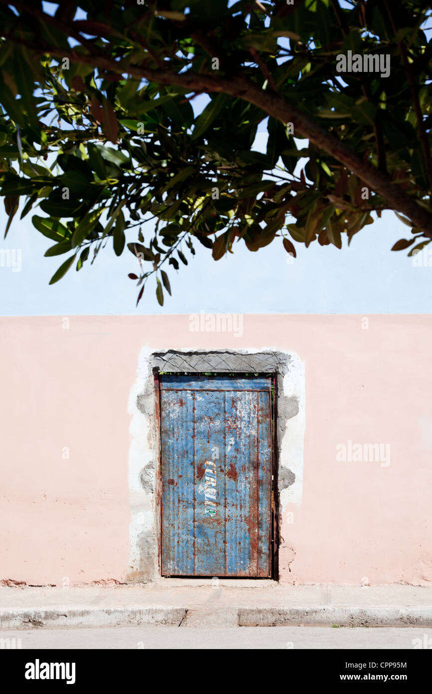 Tree door wall hi-res stock photography and images - Alamy