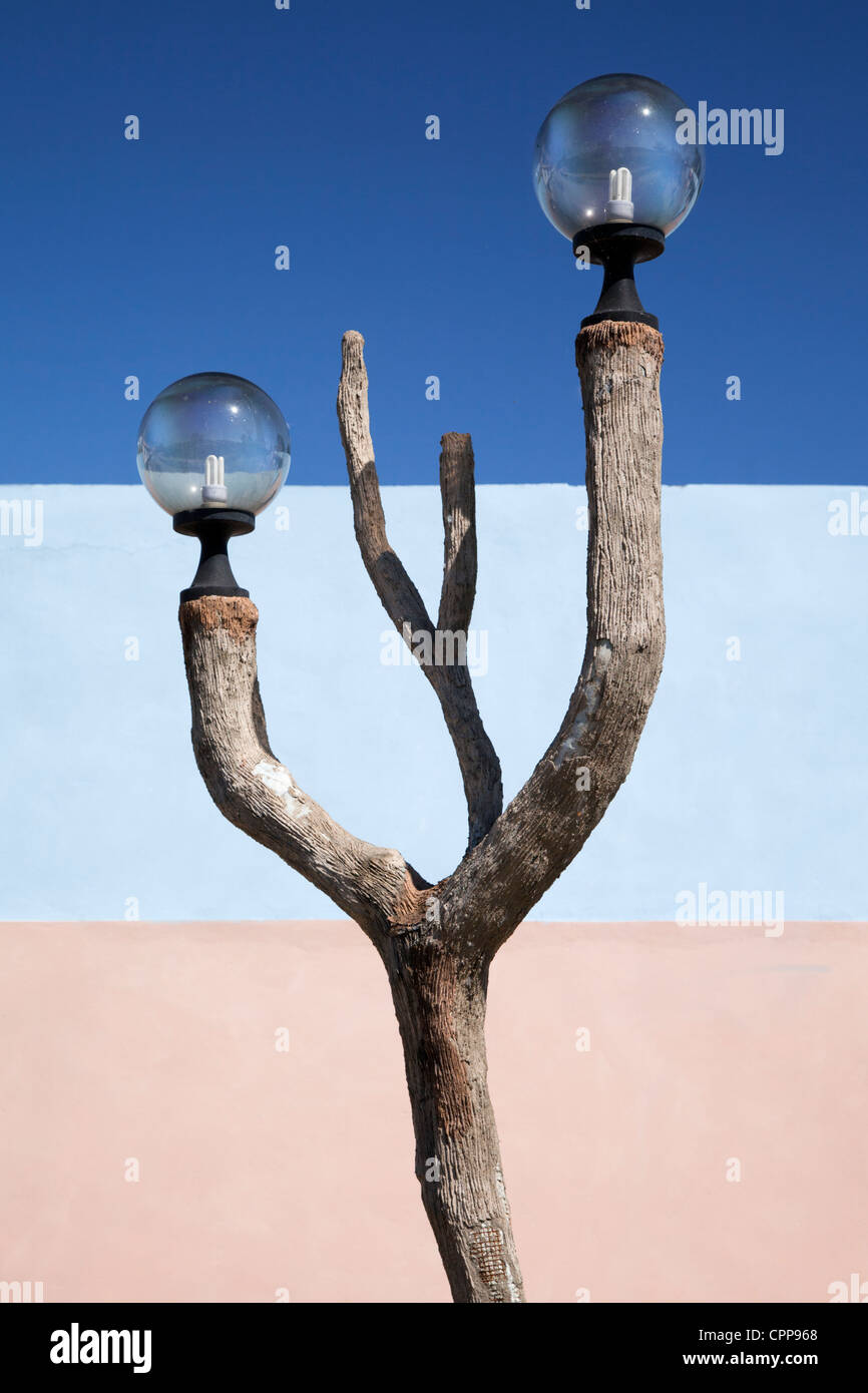 Lamp in the tree hi-res stock photography and images - Alamy