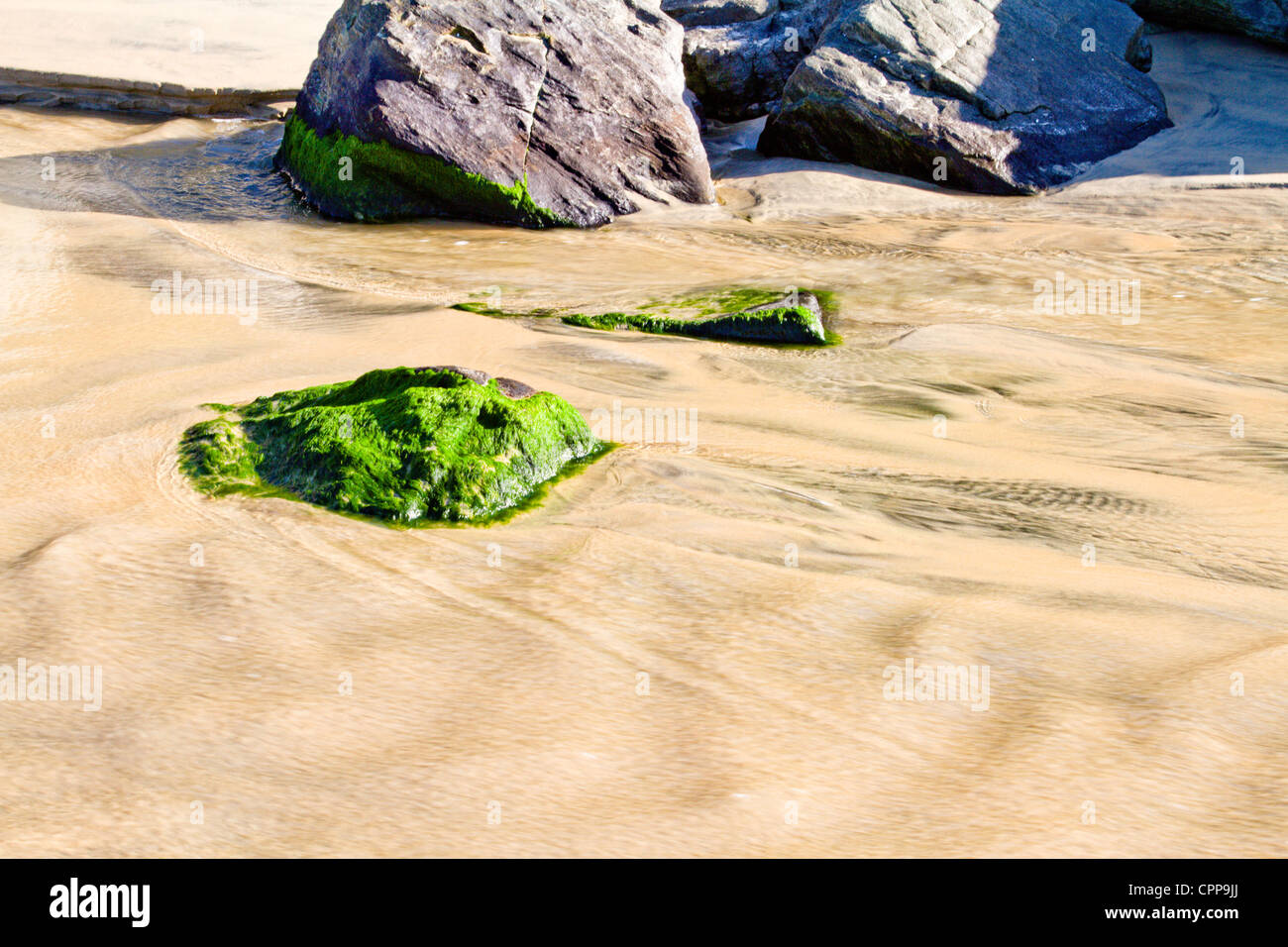 Mossy rock in creek bed Stock Photo - Alamy