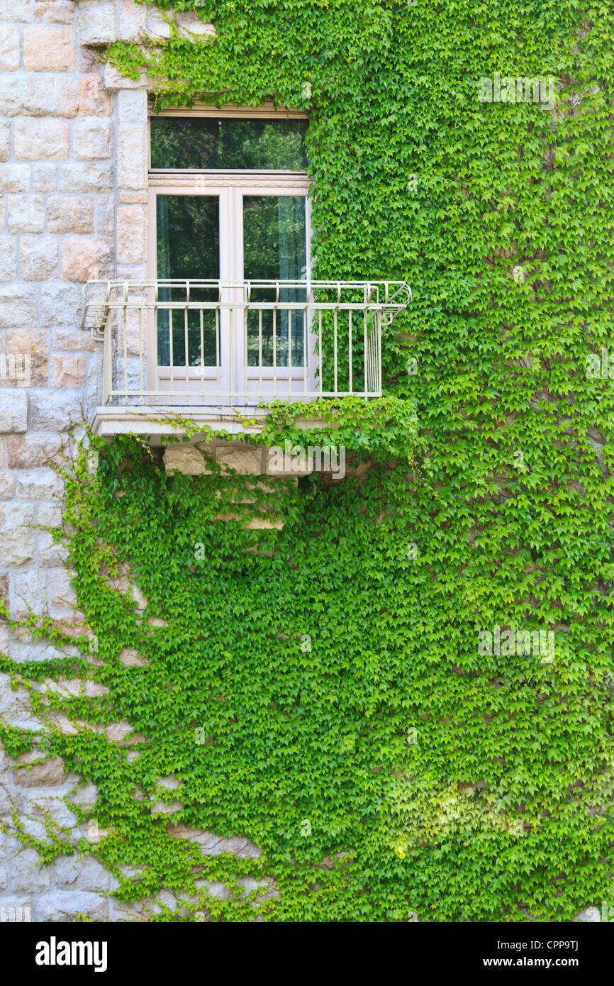 Ivy creeping balcony hi-res stock photography and images - Alamy