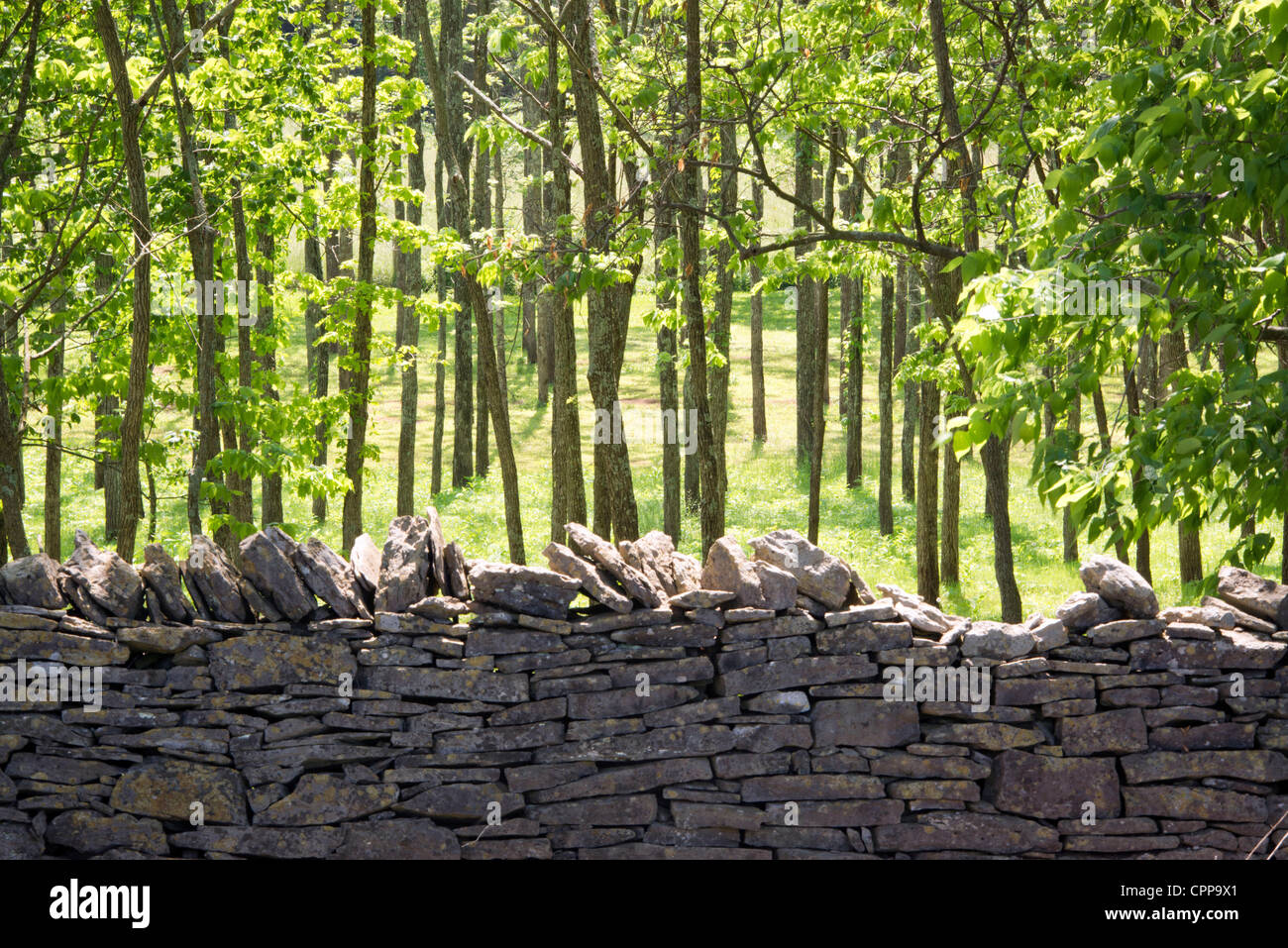 Irish stone fences hi-res stock photography and images - Alamy