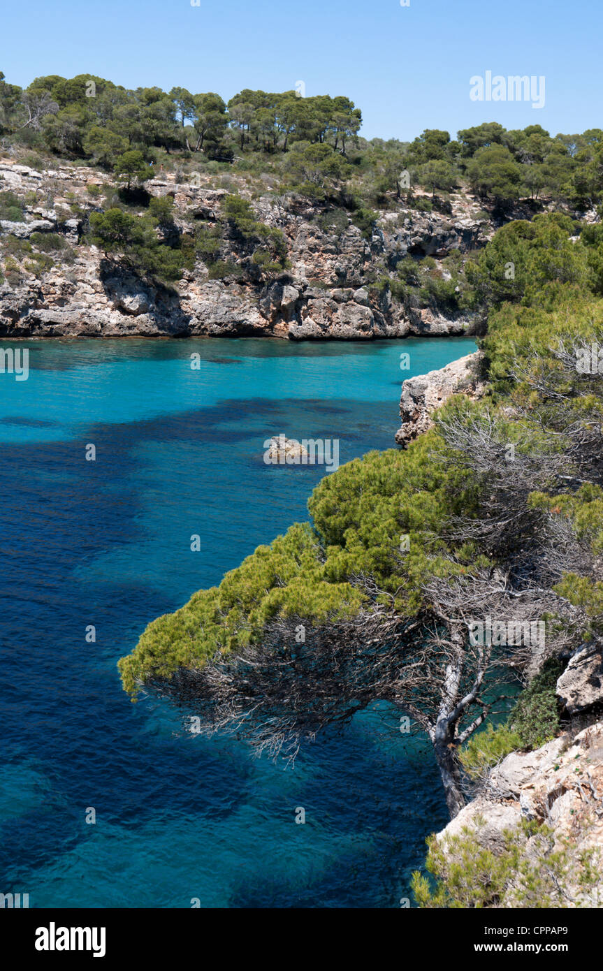 Cala pi mallorca hi-res stock photography and images - Alamy