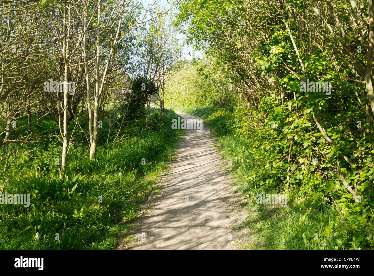 Path through Tuckingmill Valley Park near Camborne, Cornwall UK Stock ...
