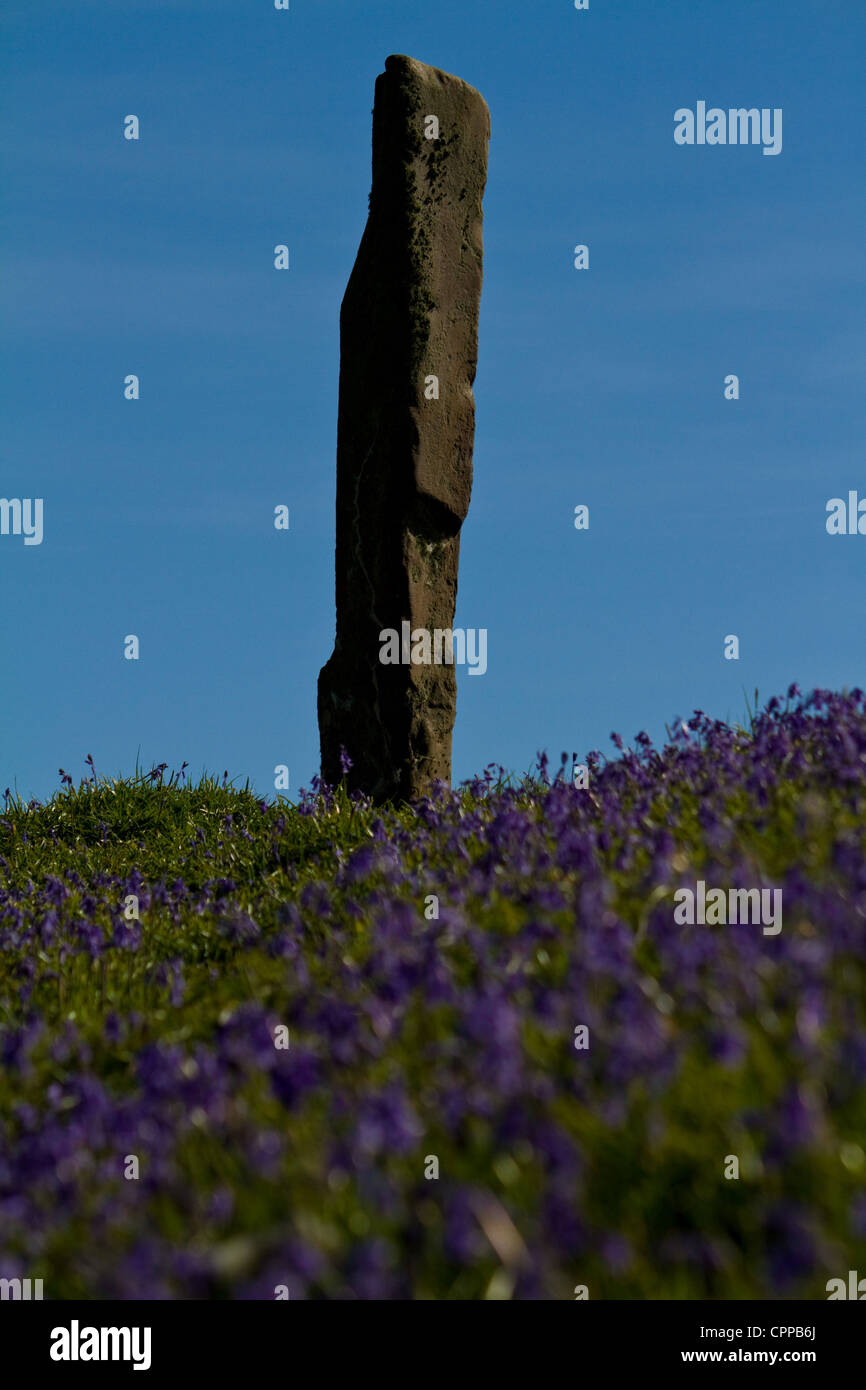 The Punishment Stone sits in a sea of bluebells on the Isle of Canna ...