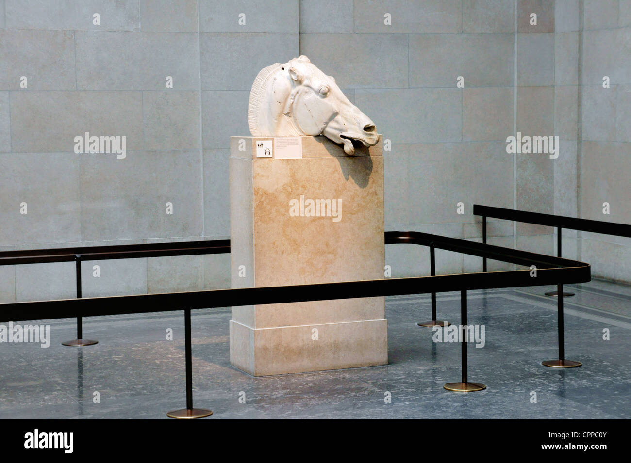 Marble head of chariot horse of Greek goddess Selene from east pediment ...