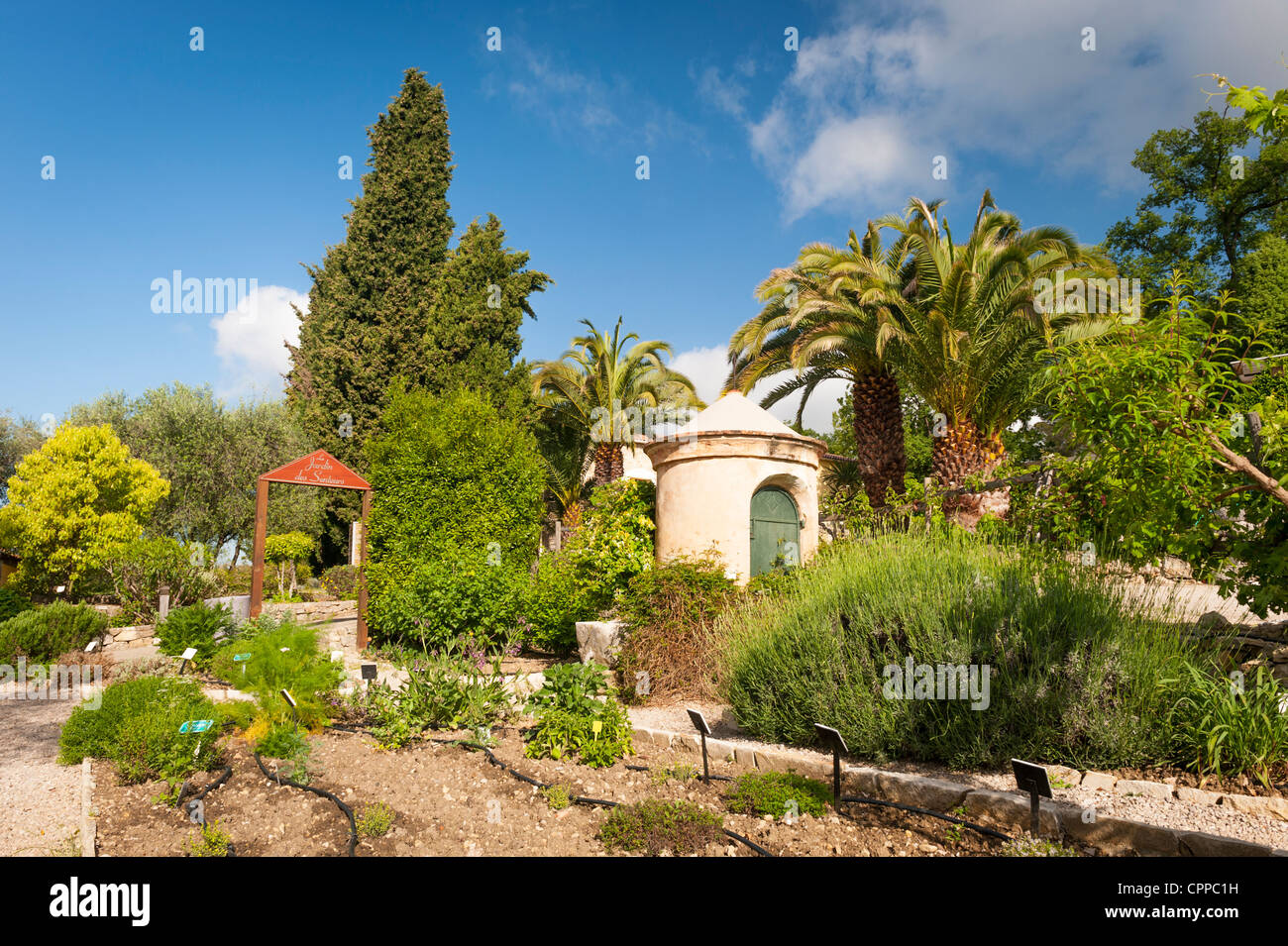 Opio hi-res stock photography and images - Alamy
