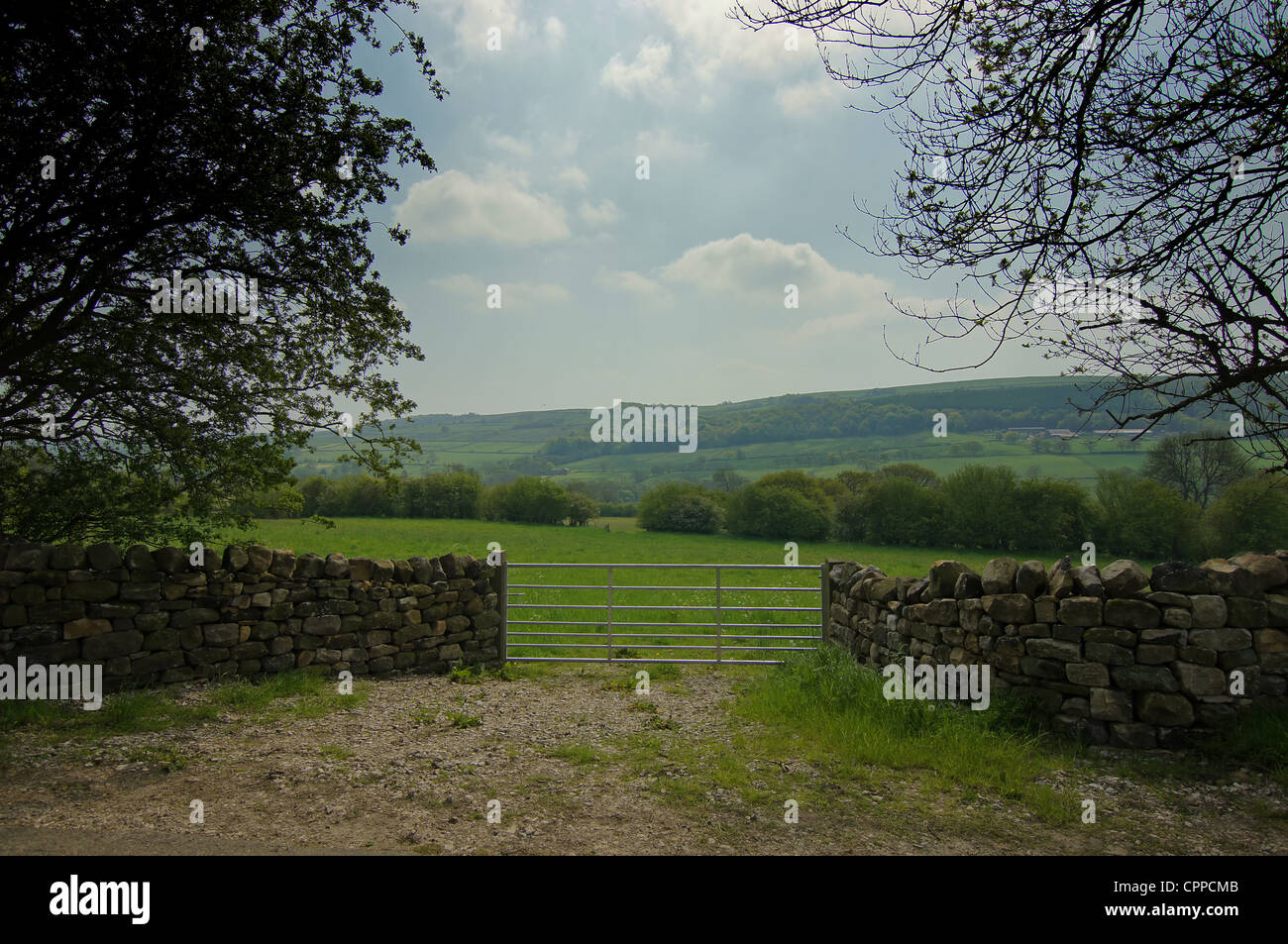 Closed Paddock High Resolution Stock Photography and Images - Alamy
