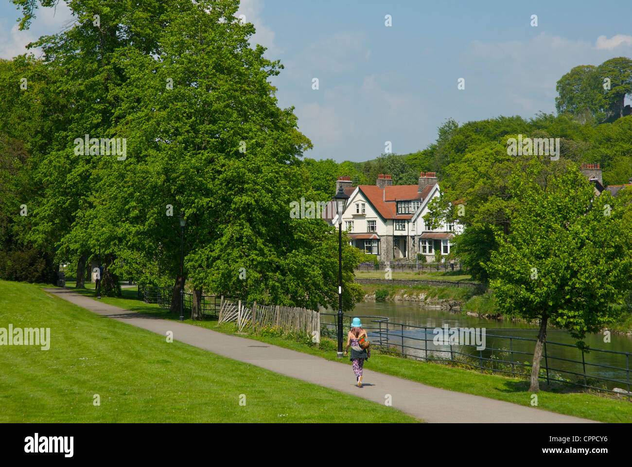 River kent in kendal hi-res stock photography and images - Alamy