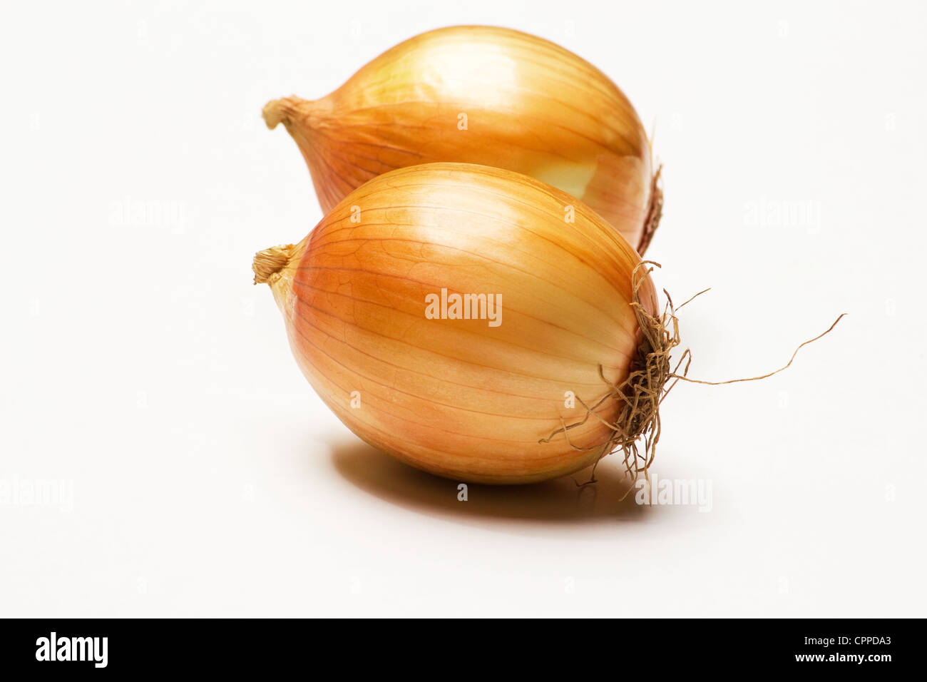 Two onions on white background Stock Photo - Alamy