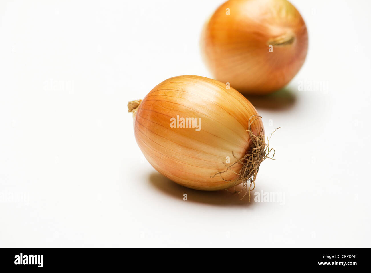 Two onions on white background Stock Photo - Alamy