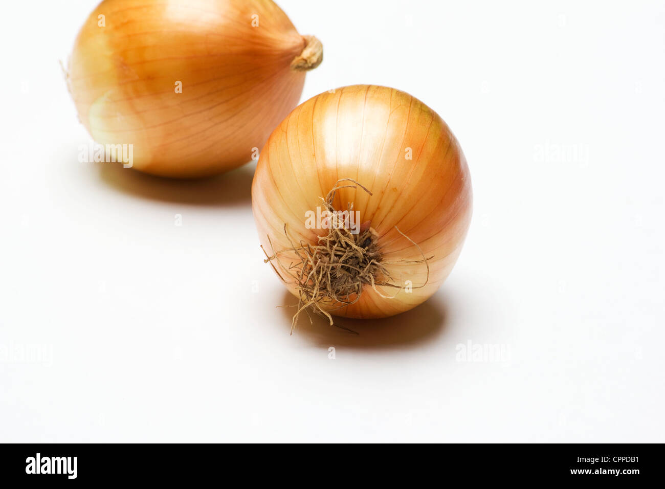 Two onions on white background Stock Photo - Alamy