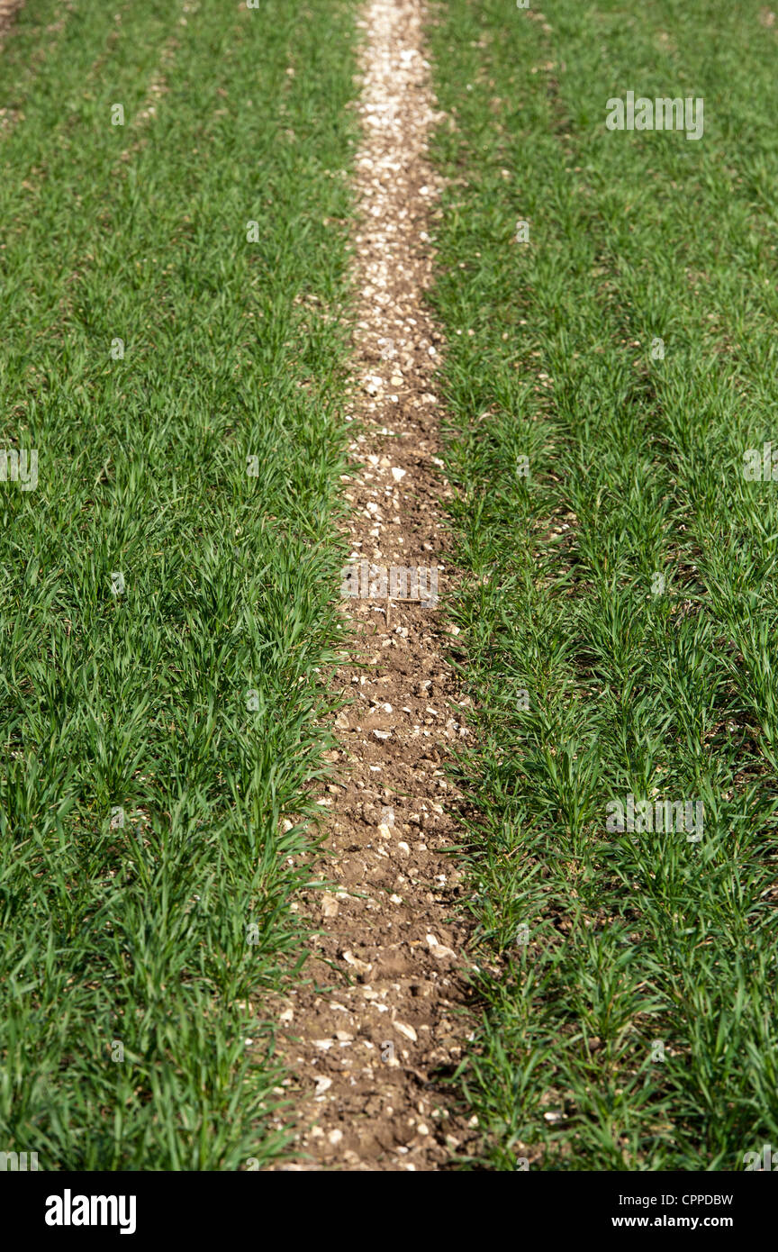 Chalk soil hi-res stock photography and images - Alamy