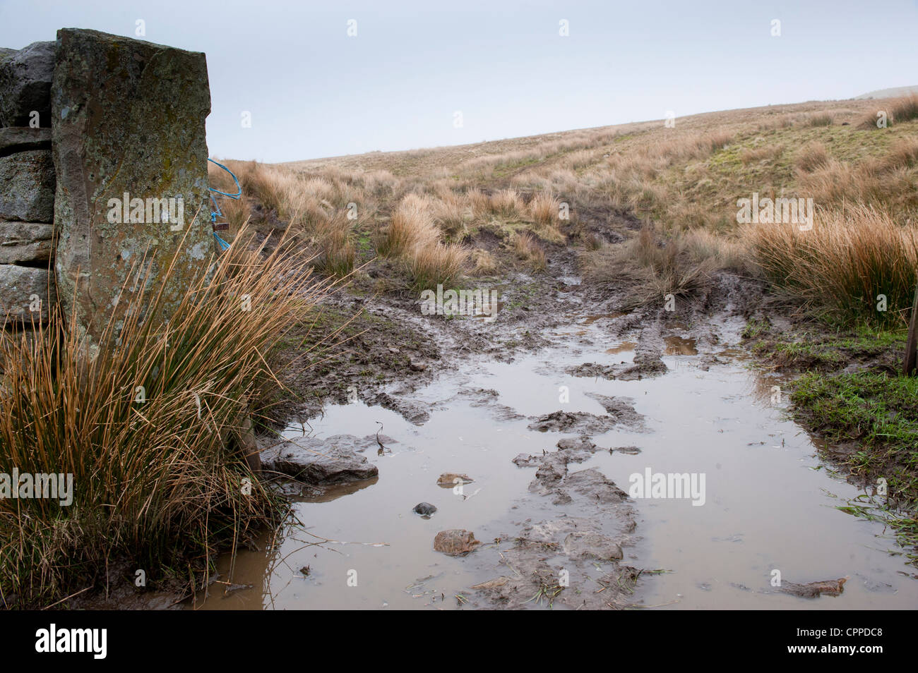 Soil erosion farm hi-res stock photography and images - Alamy