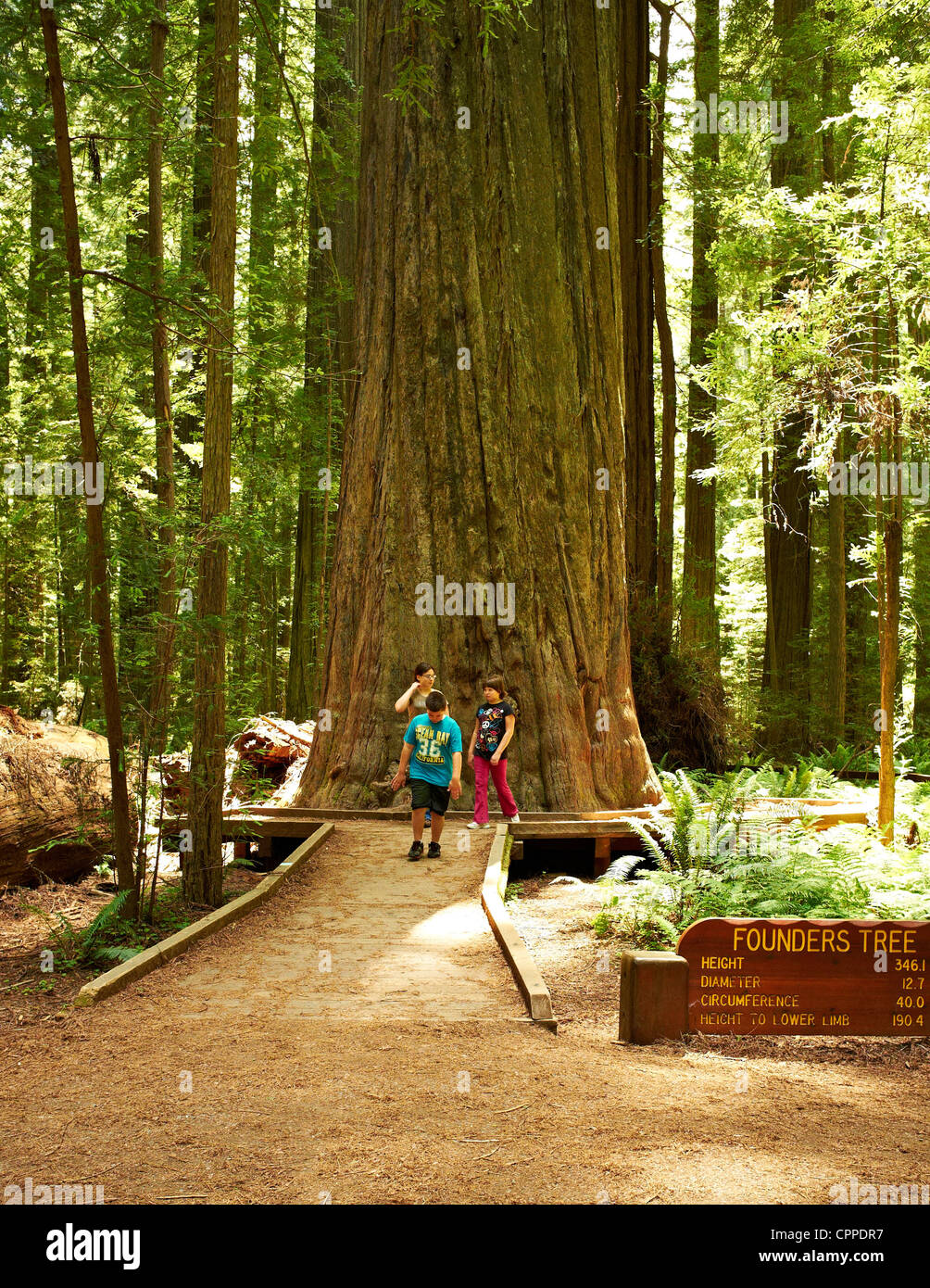 Group of young children enjoy the Founders tree, Founders Grove, Avenue ...