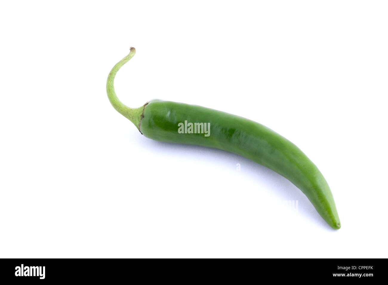 A single green chili pepper on a white background Stock Photo - Alamy