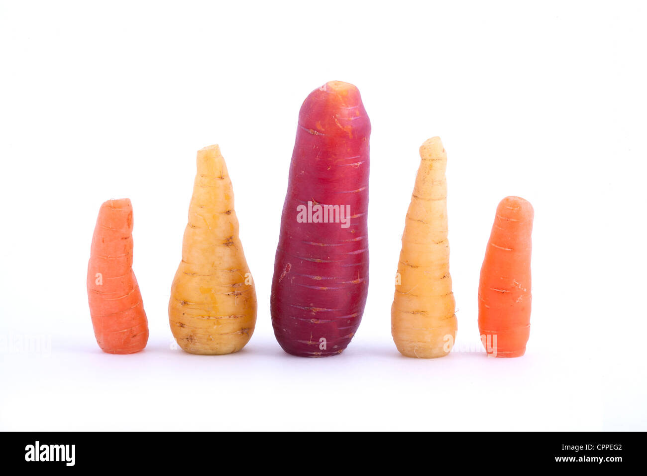 A line of organic carrots of different sizes Stock Photo - Alamy