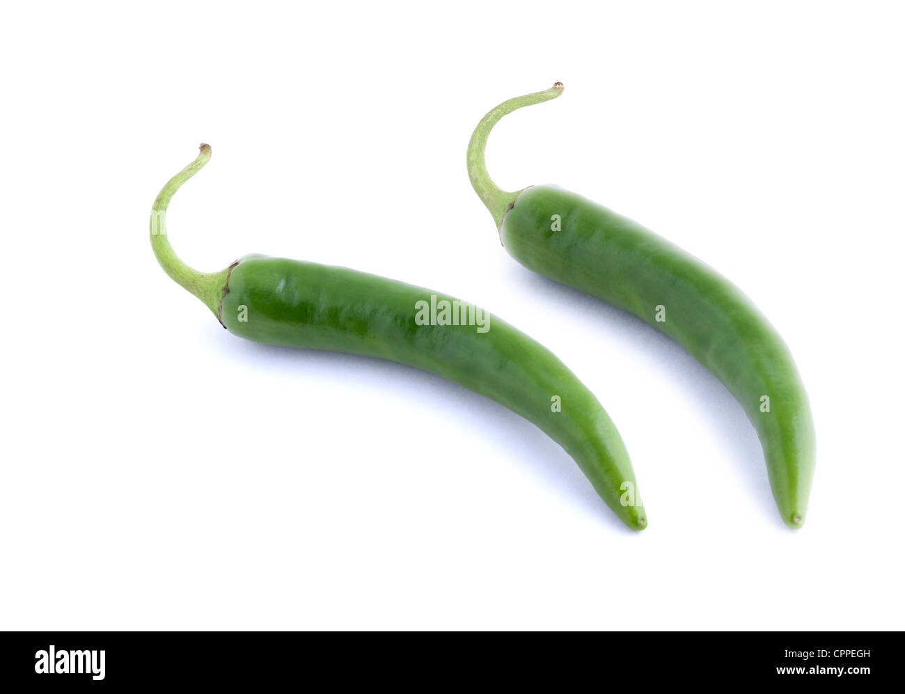 A single green chili pepper on a white background Stock Photo - Alamy