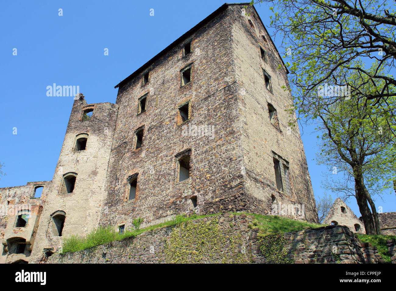 Swiny Castle Lower Silesia Poland Schweinburg Nieder Schlesien Polen ...