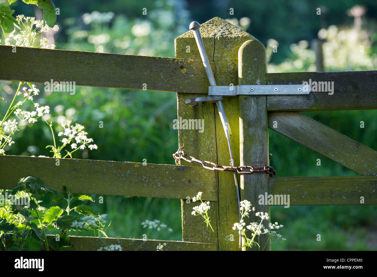 Farm Gate Chain High Resolution Stock Photography and Images - Alamy