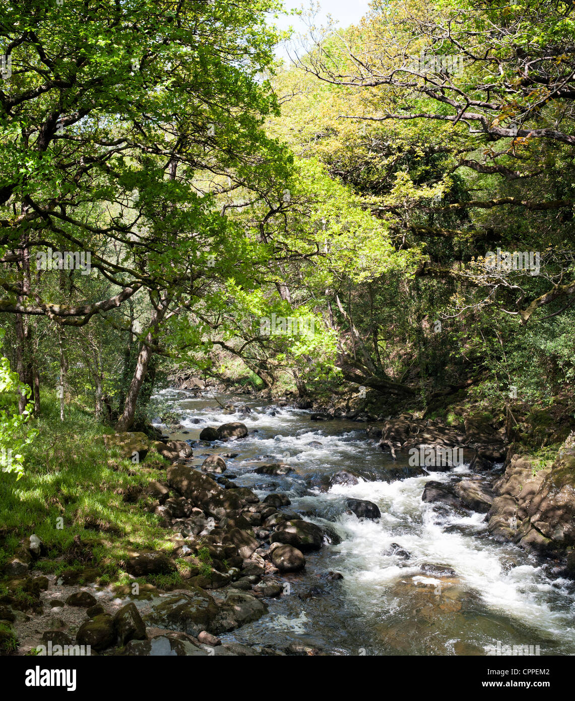 West dart valley hi-res stock photography and images - Alamy