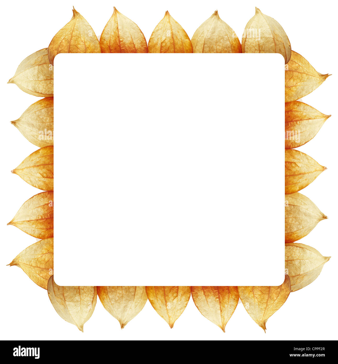 Decor autumn frame white Cut Out Stock Images & Pictures - Alamy
