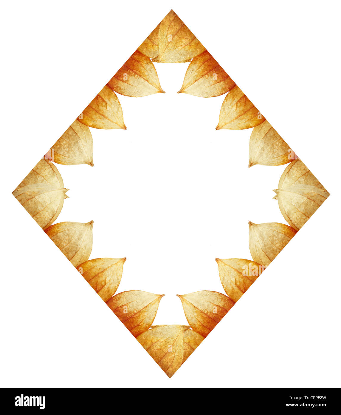 rhombus frame of Physalis on a reddish background Stock Photo - Alamy