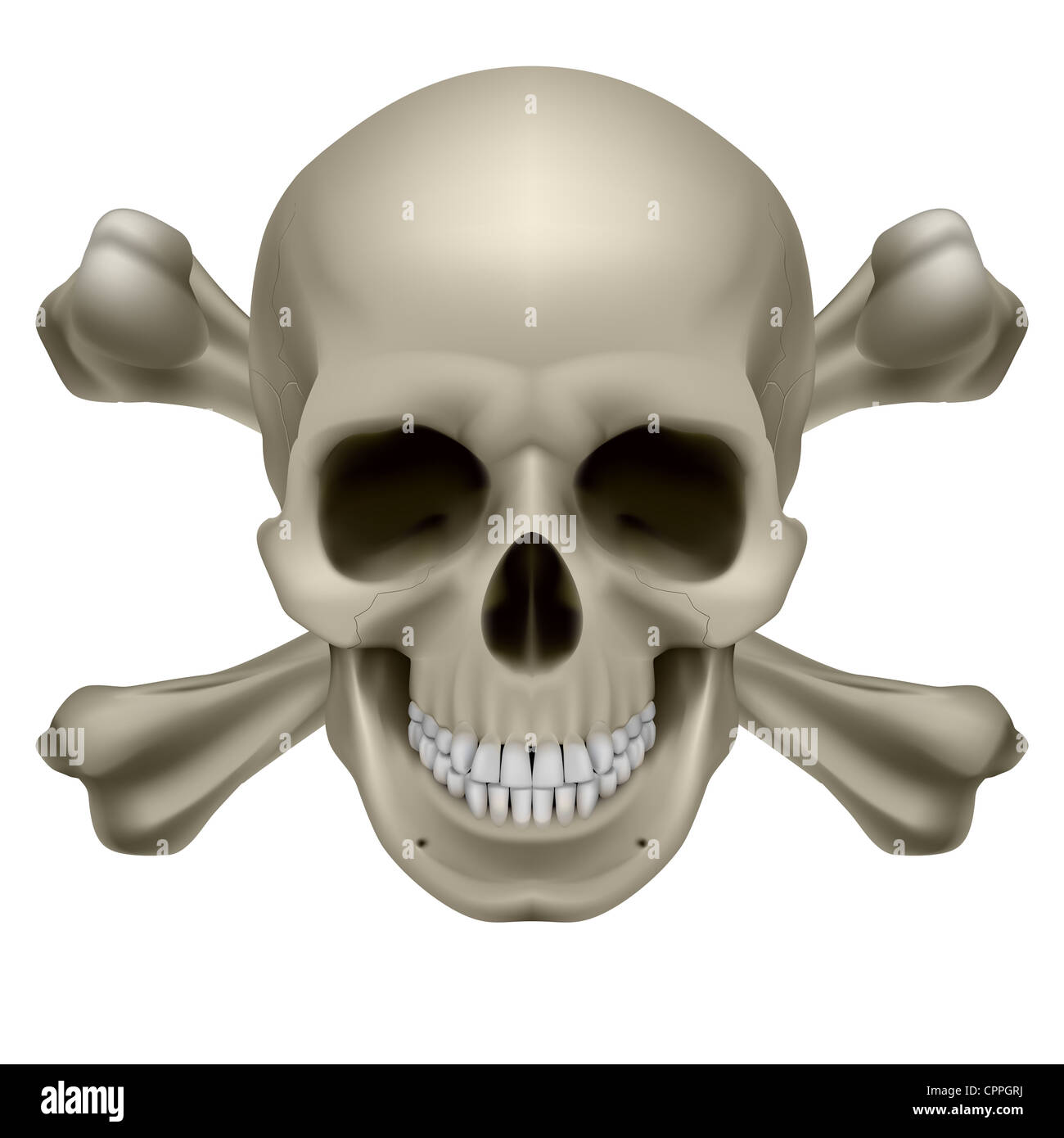 Realistic skull and bones. Illustration on white background Stock Photo ...