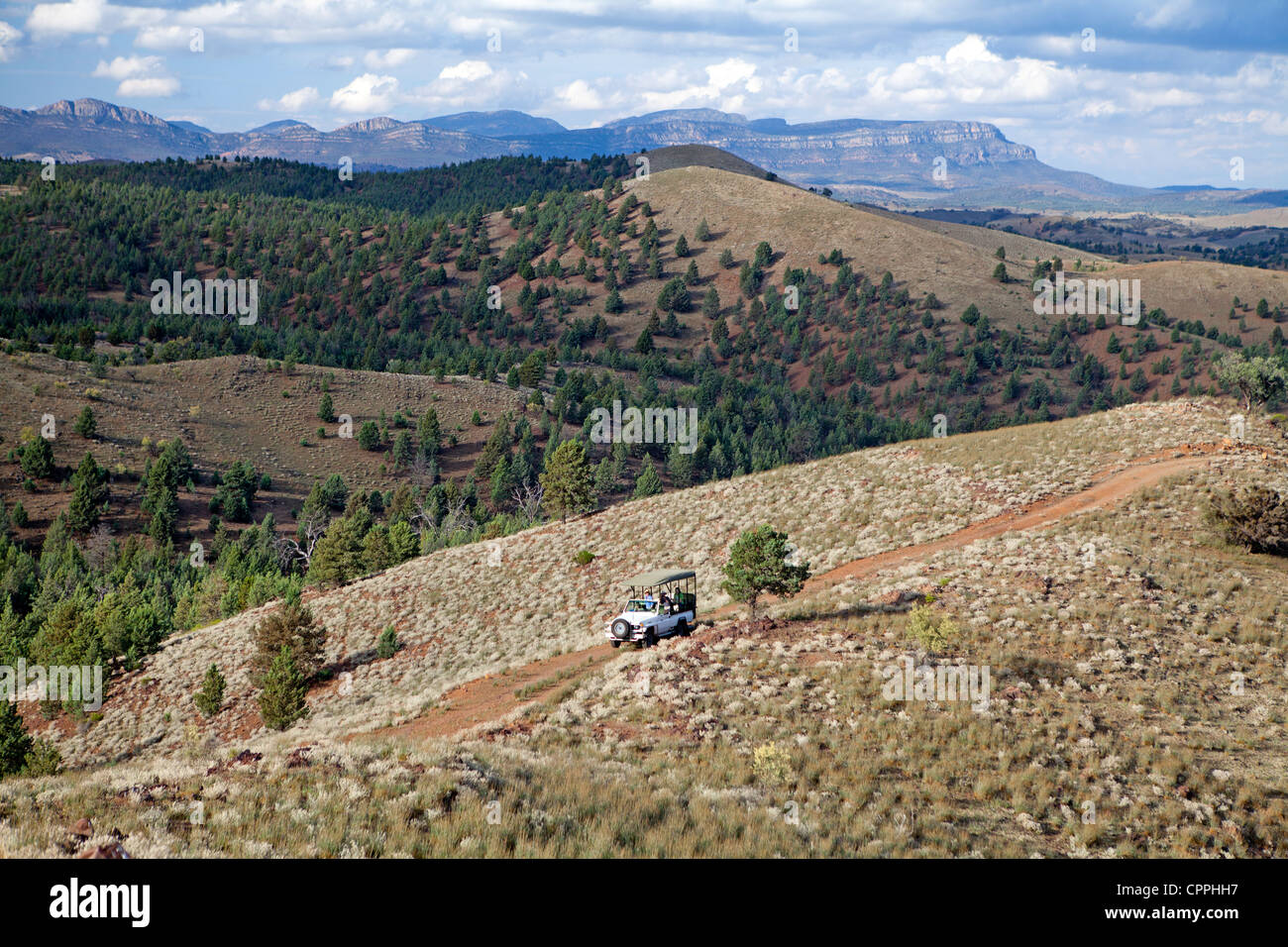 Vehicle on Arkaba Station in South Australia's Flinders Ranges, with ...