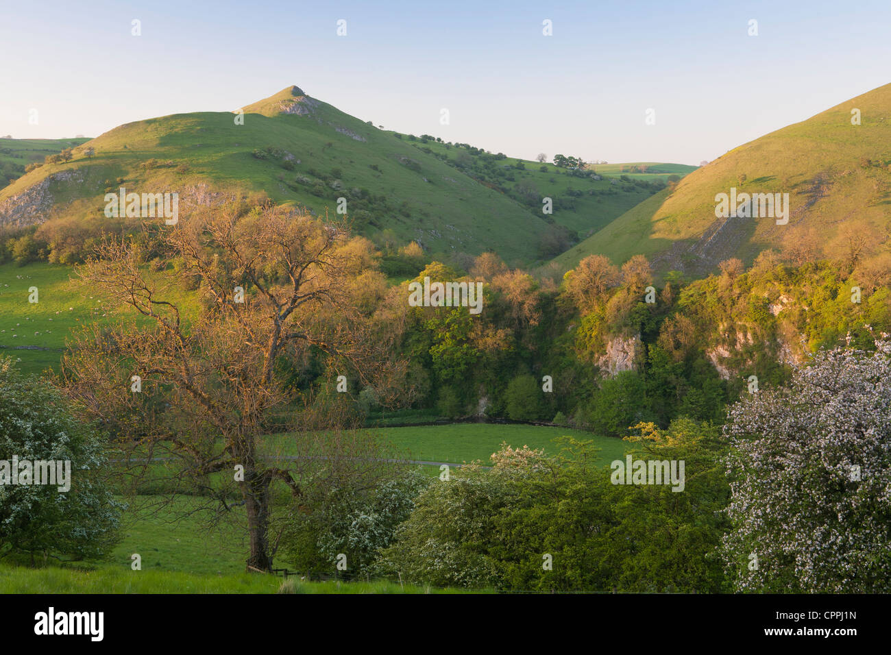 The Manifold Valley, Staffordshire, Peak District, England UK Stock ...