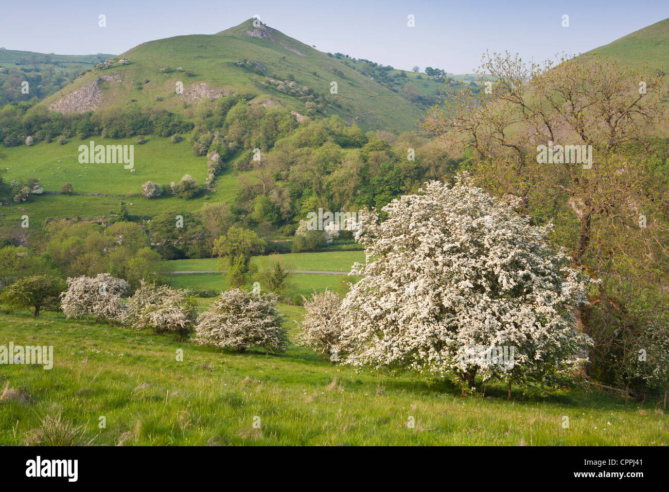The Manifold Valley, Staffordshire, Peak District, England UK Stock ...