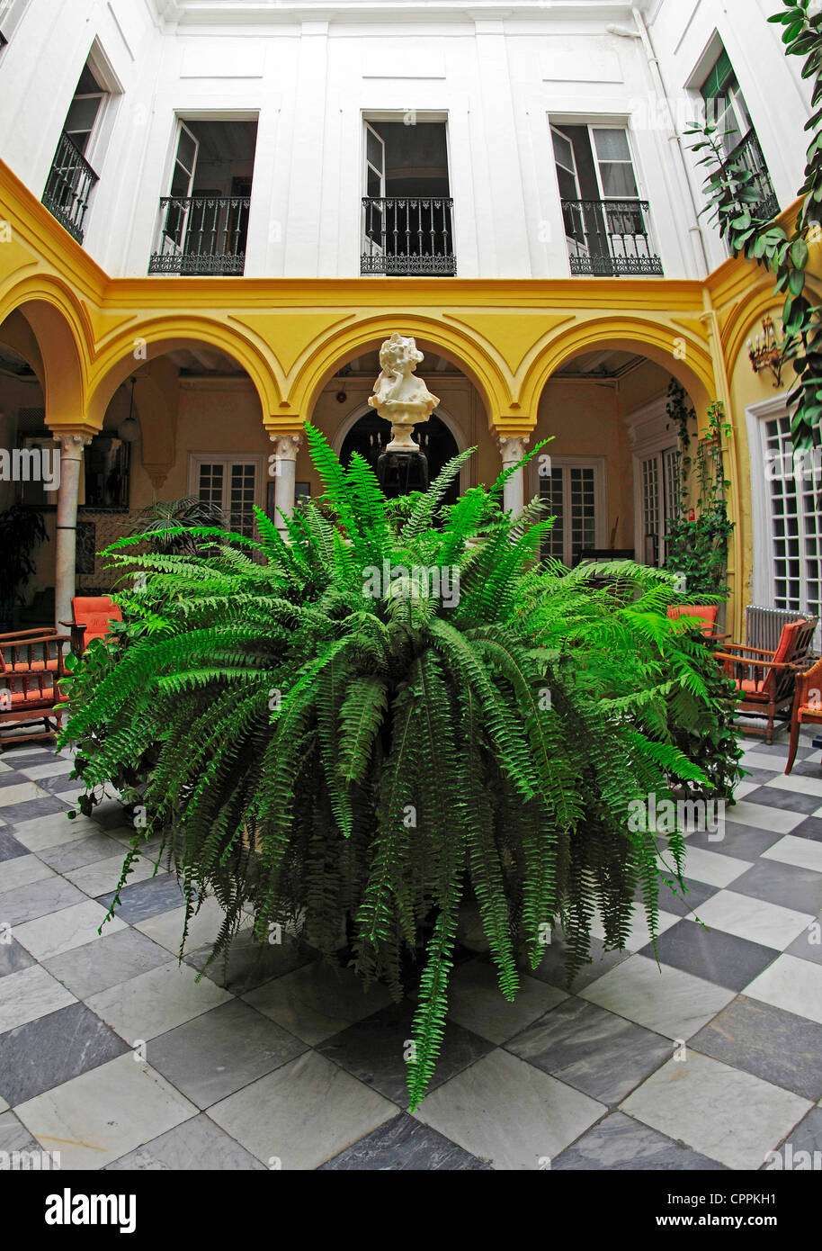 Simon culture hi-res stock photography and images - Alamy