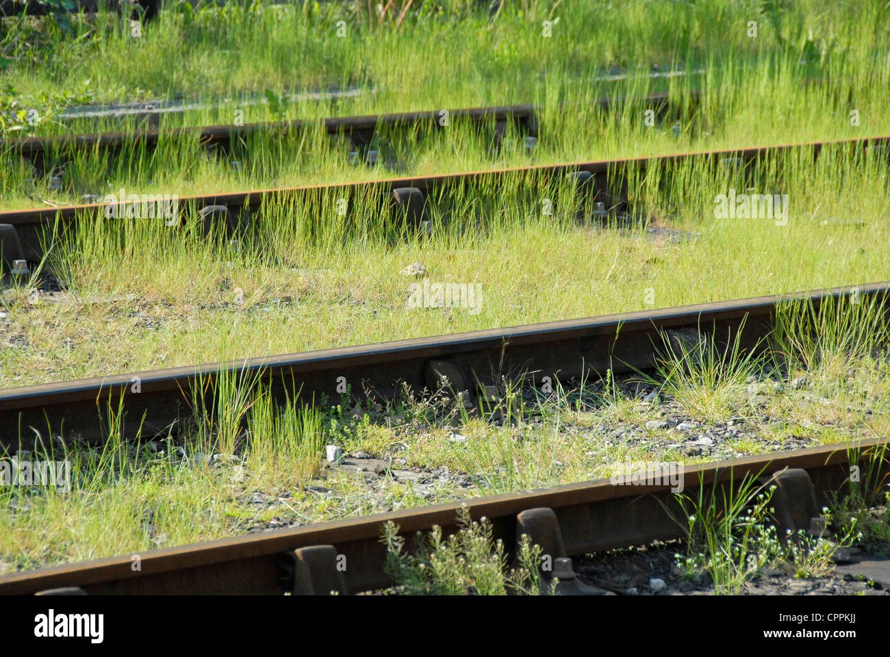 Pleasing lines hi-res stock photography and images - Alamy